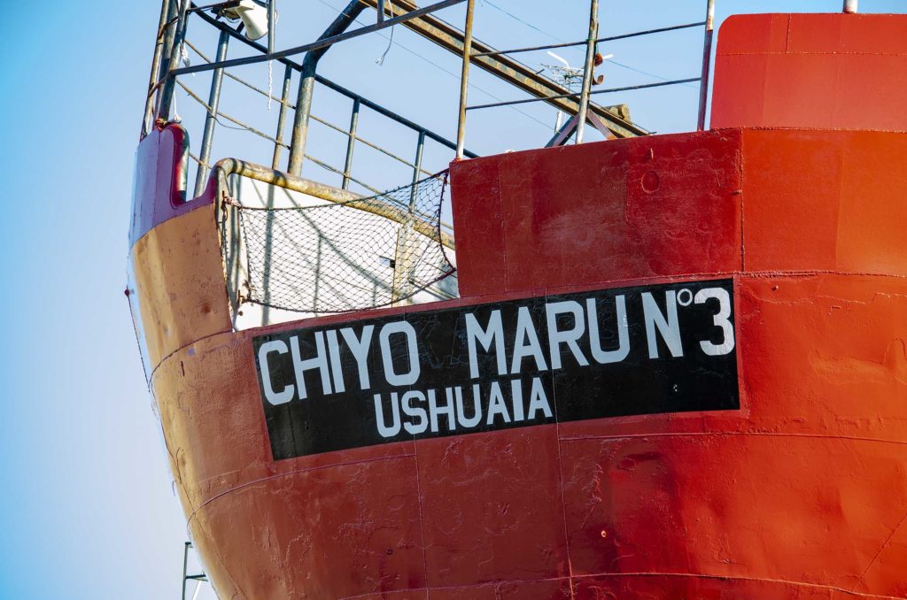 CHIYO MARU 3 y NICOLE S en gradas – TANDANOR